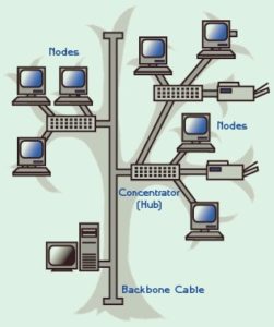 What is tree topology with example – IT Release