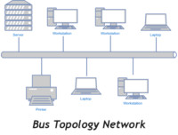 What is bus topology with example – IT Release