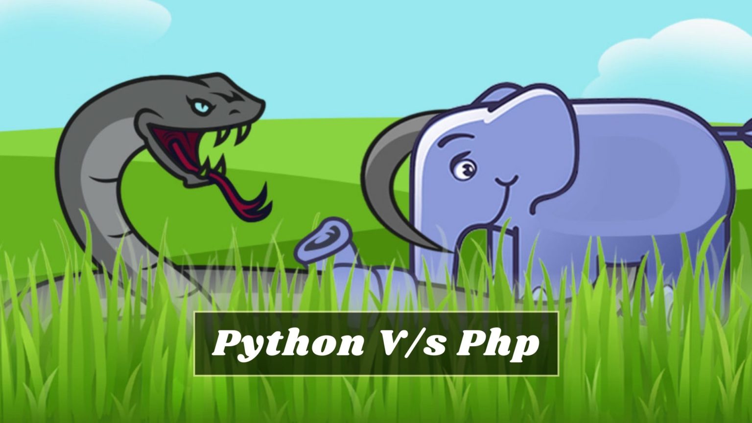 Difference between python and php – IT Release