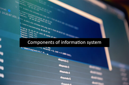 What are components of information system - IT Release